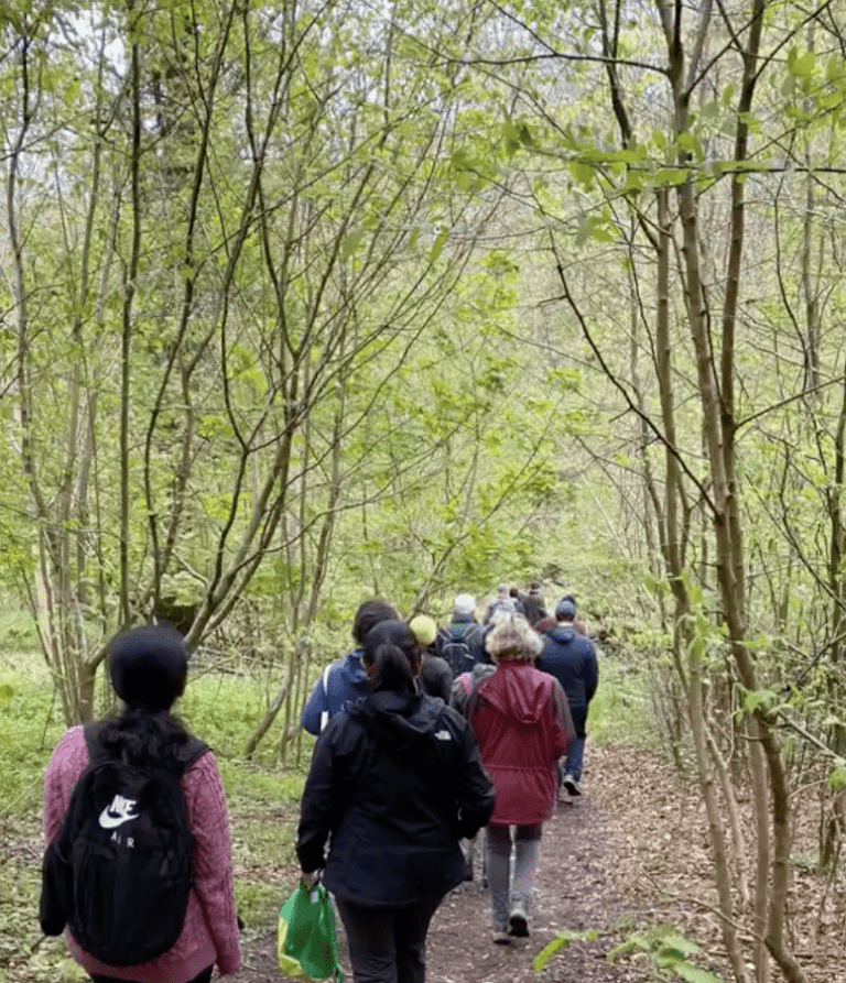 A woodland walk through Chesham Bois - Sustainable Amersham