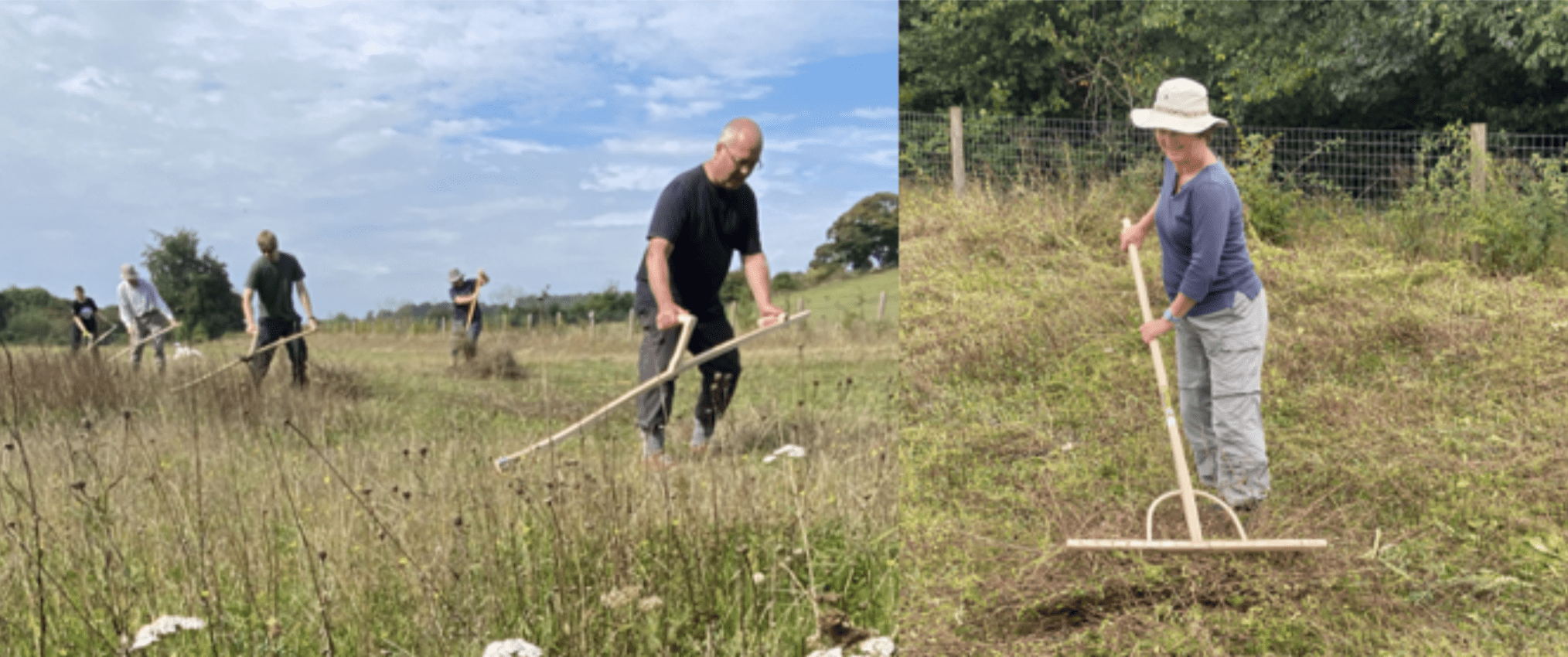 Wild Gyms - Rake and cake - Sustainable Amersham